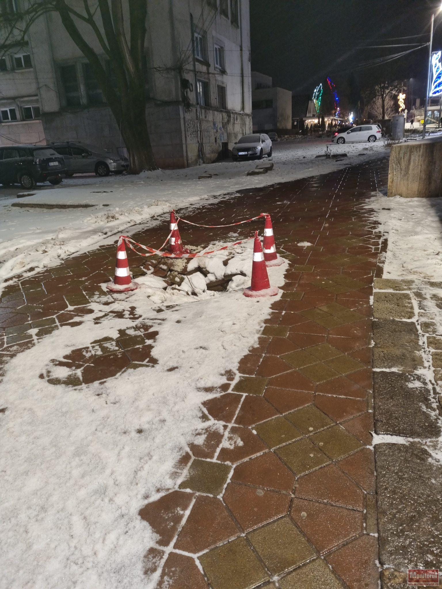 - Monitorul de Botoșani